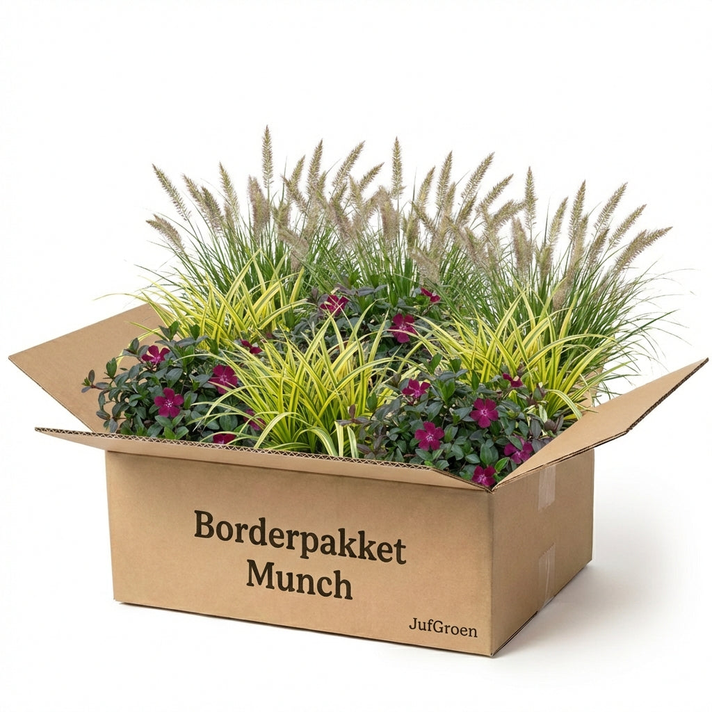 Balkonpakket Munch - Natuurlijk en rustgevend voor halfschaduw balkons ...